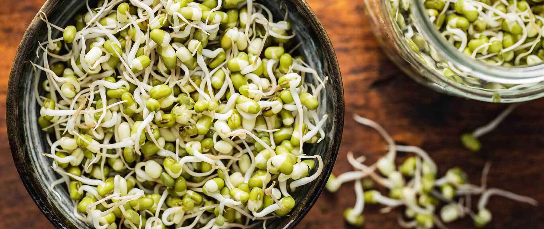 9 Superfood Secrets: The Benefits Of Eating Sprouts