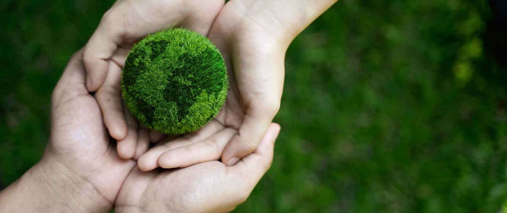 How To Save Environment: 10 Simple Ways