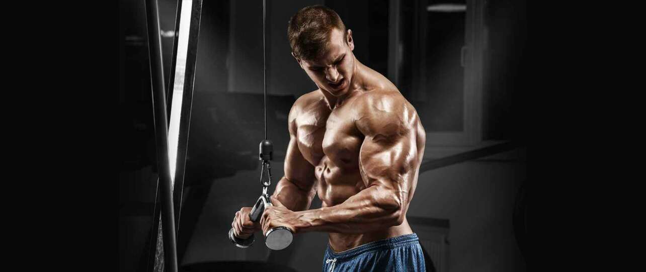Most Effective Workout For Triceps